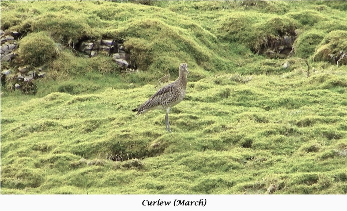 Visit Settle - Nature